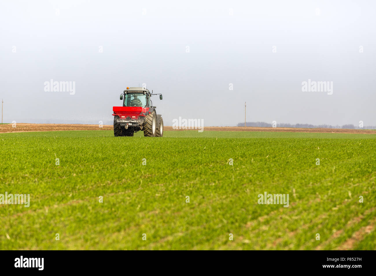 Farmer in tractor fertilizing wheat field at spring with npk Stock ...