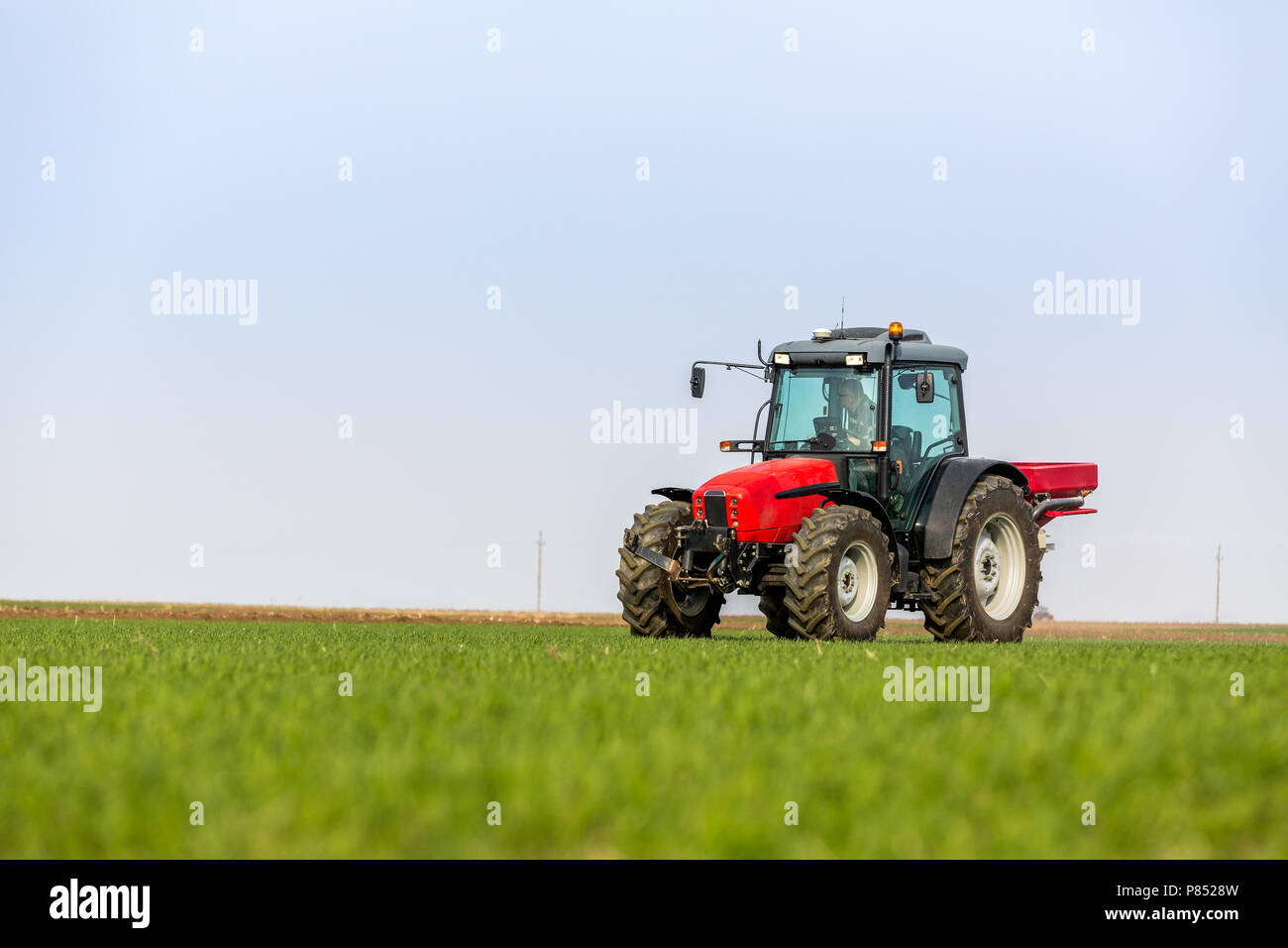 Farmer in tractor fertilizing wheat field at spring with npk Stock ...