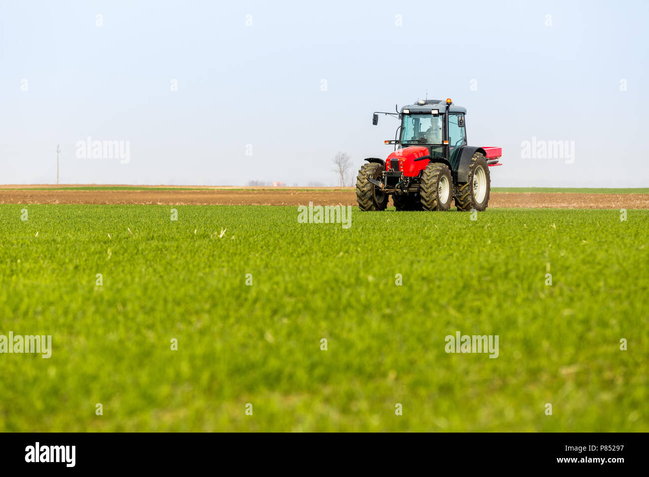 Farmer in tractor fertilizing wheat field at spring with npk Stock ...