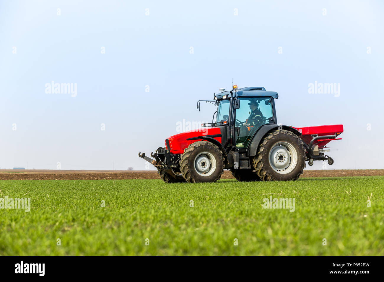 Farmer in tractor fertilizing wheat field at spring with npk Stock ...