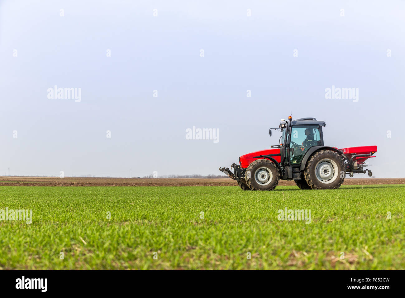 Farmer in tractor fertilizing wheat field at spring with npk Stock ...