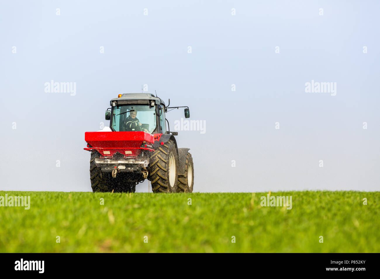 Farmer in tractor fertilizing wheat field at spring with npk Stock ...