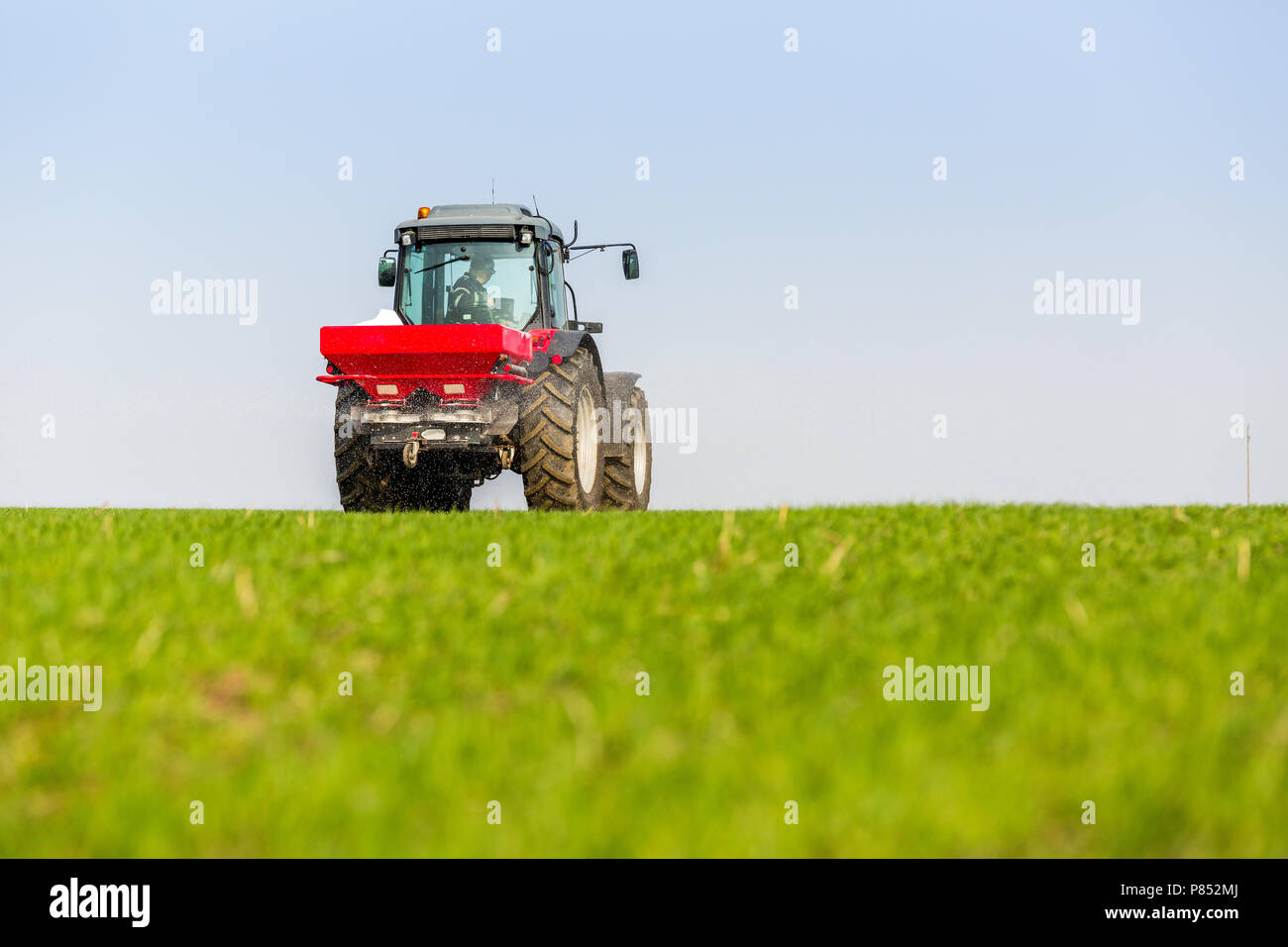 Farmer in tractor fertilizing wheat field at spring with npk Stock ...