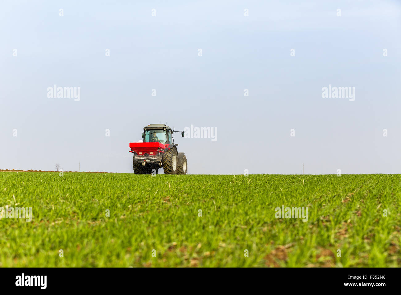 Farmer in tractor fertilizing wheat field at spring with npk Stock ...