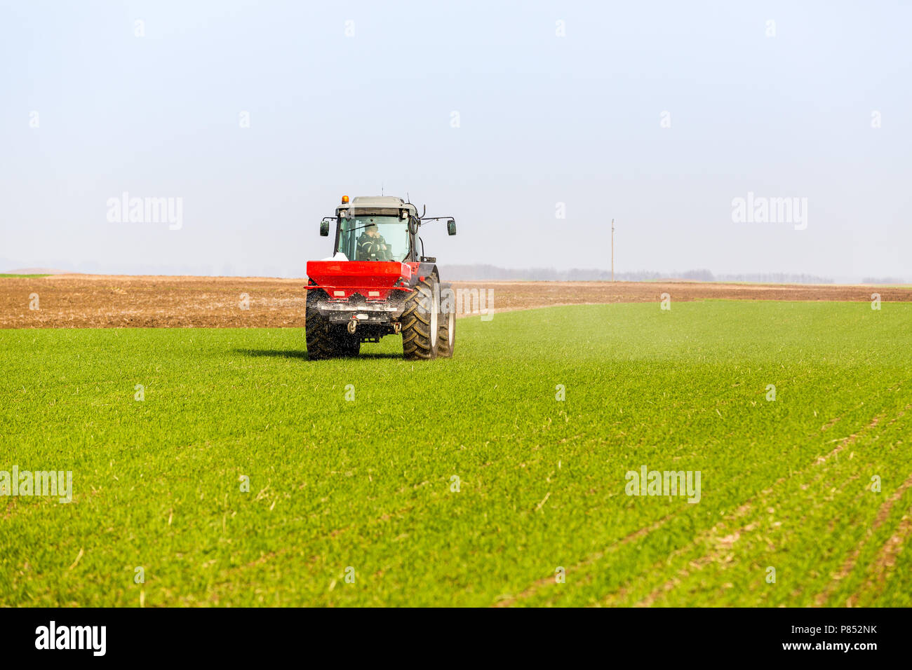 Farmer in tractor fertilizing wheat field at spring with npk Stock ...
