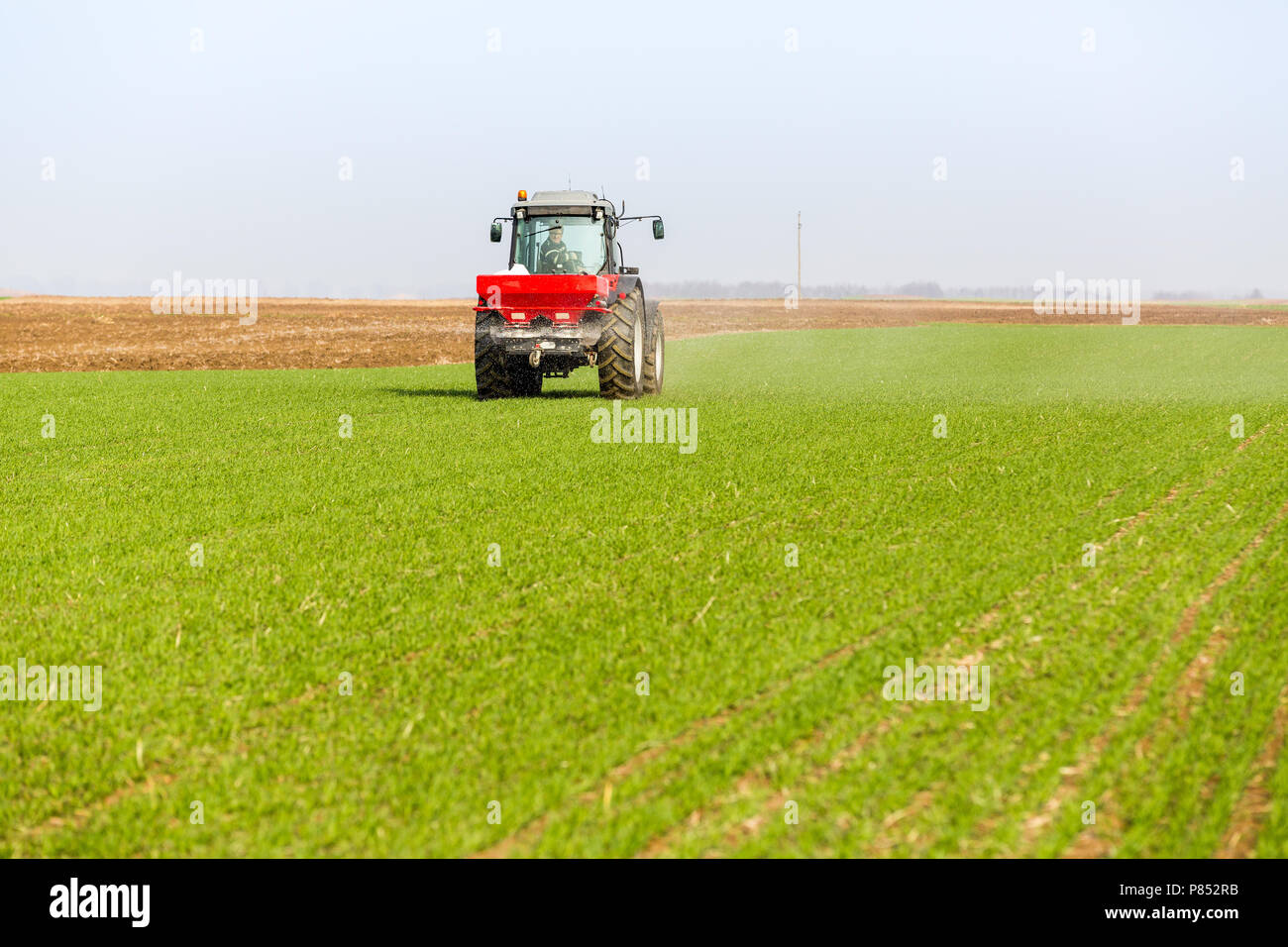 Farmer in tractor fertilizing wheat field at spring with npk Stock ...