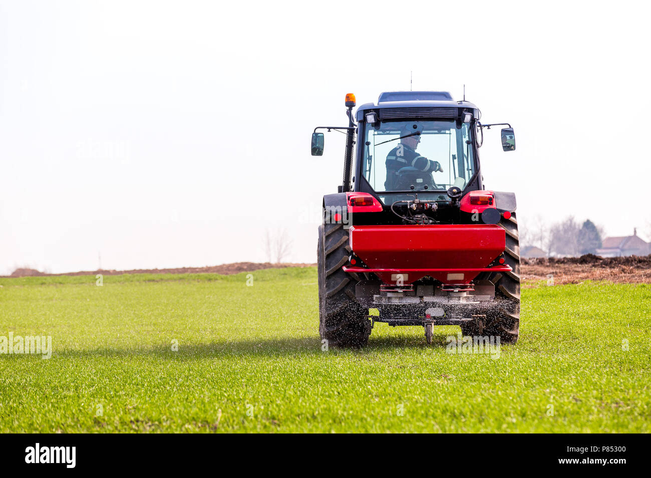 Farmer in tractor fertilizing wheat field at spring with npk Stock ...
