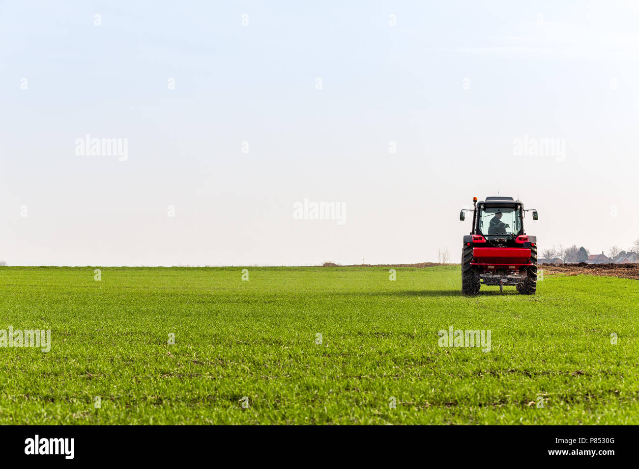 Farmer in tractor fertilizing wheat field at spring with npk Stock ...