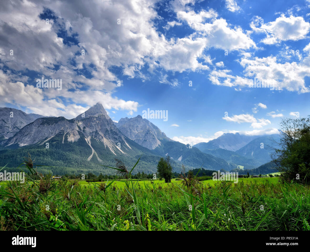 Summer mountain landscape in the Alps. View of the Ehrwalder ...