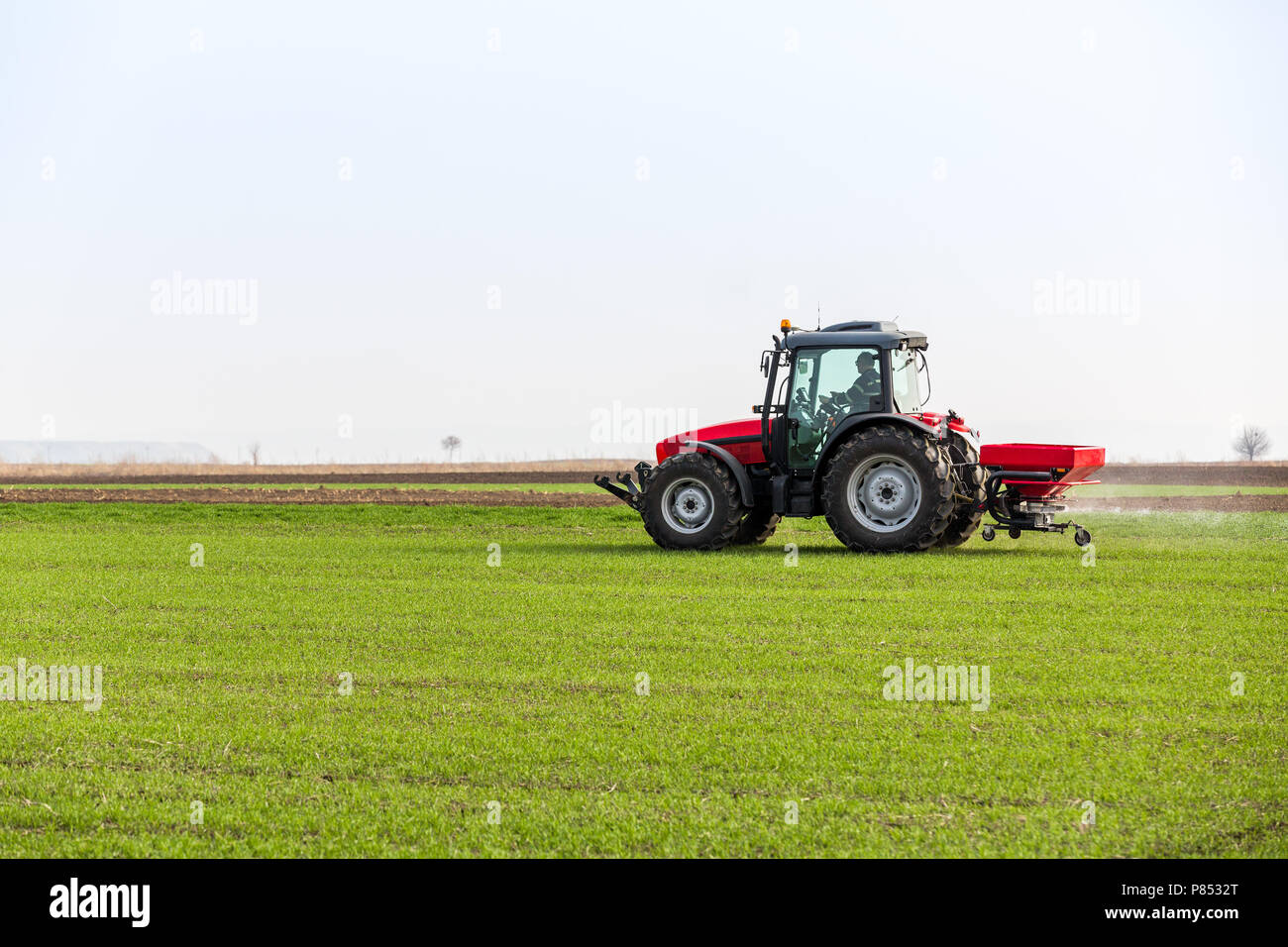 Farmer in tractor fertilizing wheat field at spring with npk Stock ...