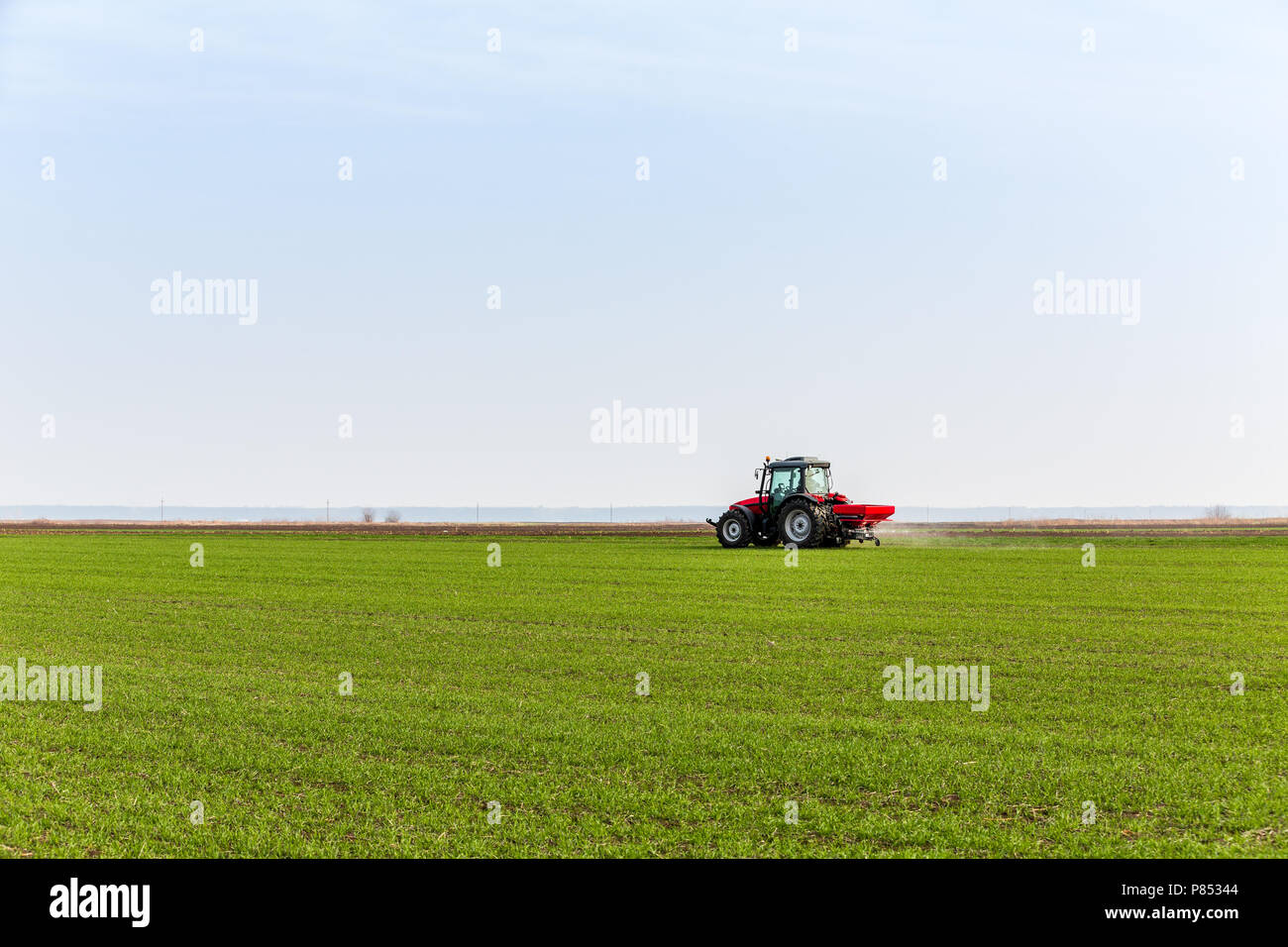 Farmer in tractor fertilizing wheat field at spring with npk Stock ...