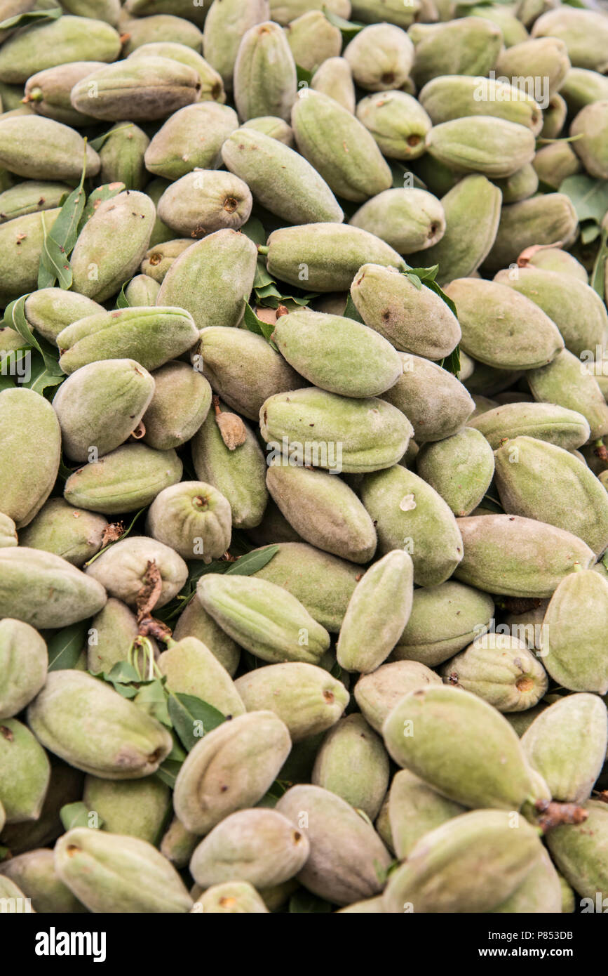 fresh green almonds background Stock Photo - Alamy