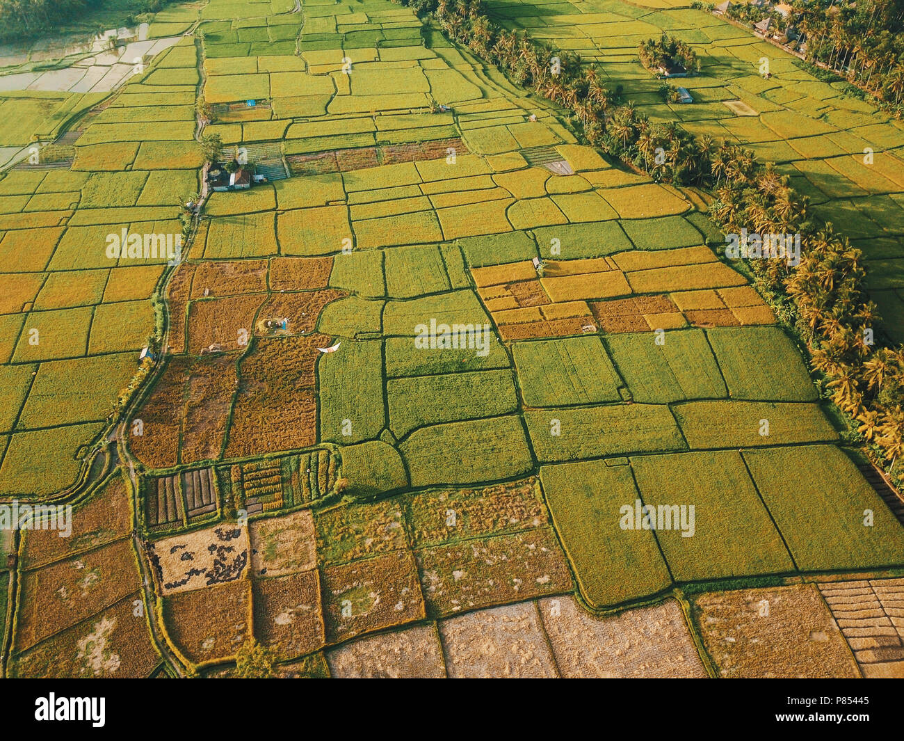 Aerial view of ubud hi-res stock photography and images - Alamy