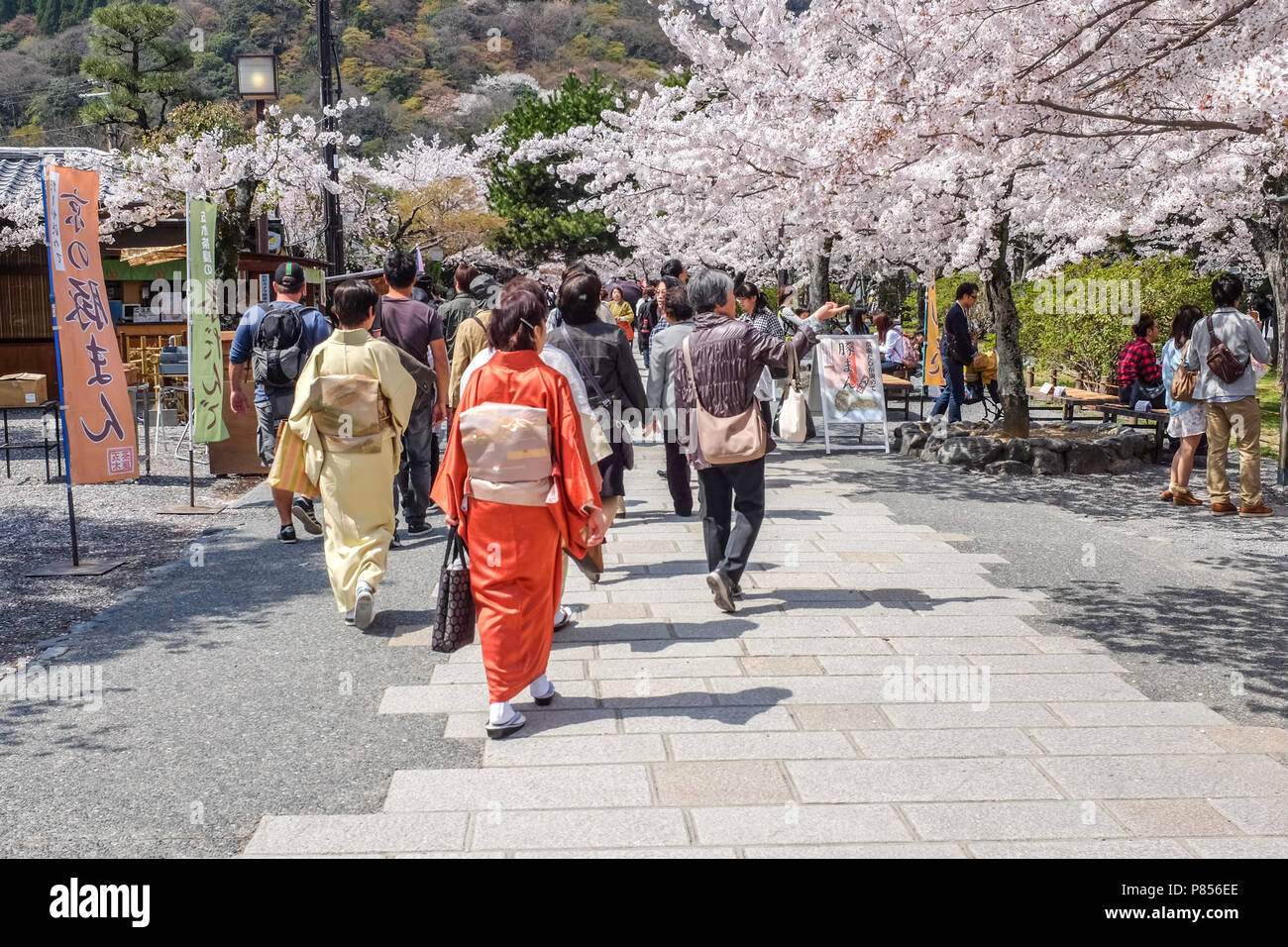 Japanese tourists explore Arashiyama in the outskirts of Kyoto, Japan ...
