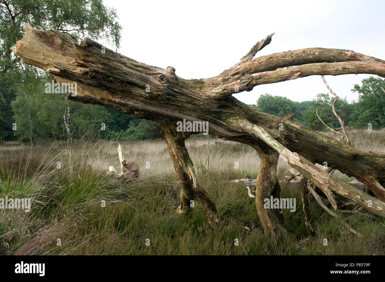 Natuur monumenten hi-res stock photography and images - Alamy