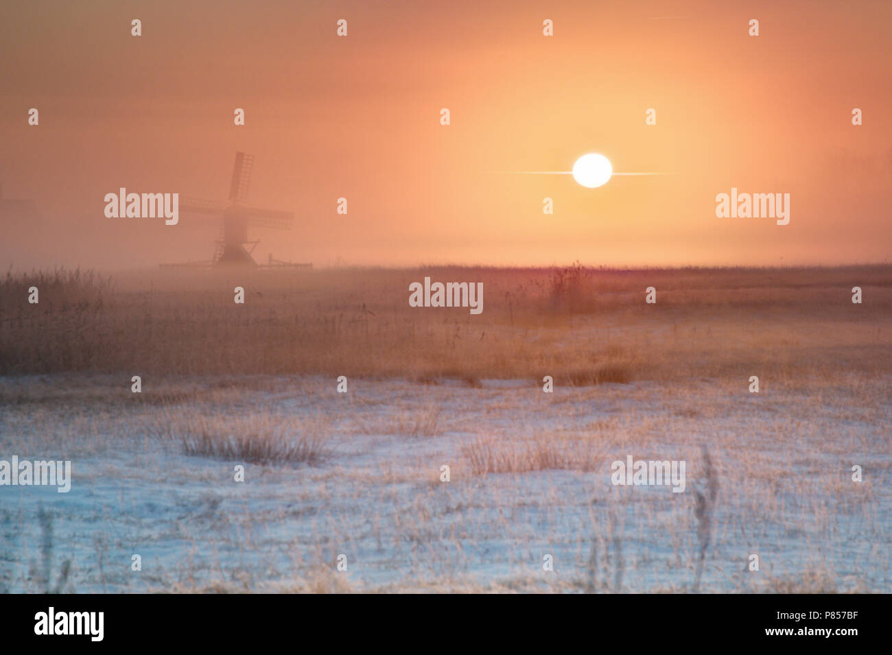 Polder landscape in winter hi-res stock photography and images - Alamy
