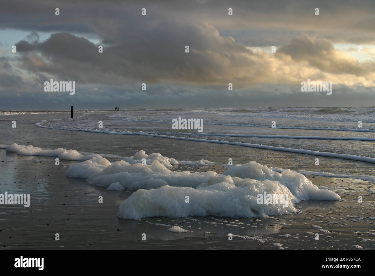 Het strand bij Camperduin; The beach at Camperduin Stock Photo - Alamy