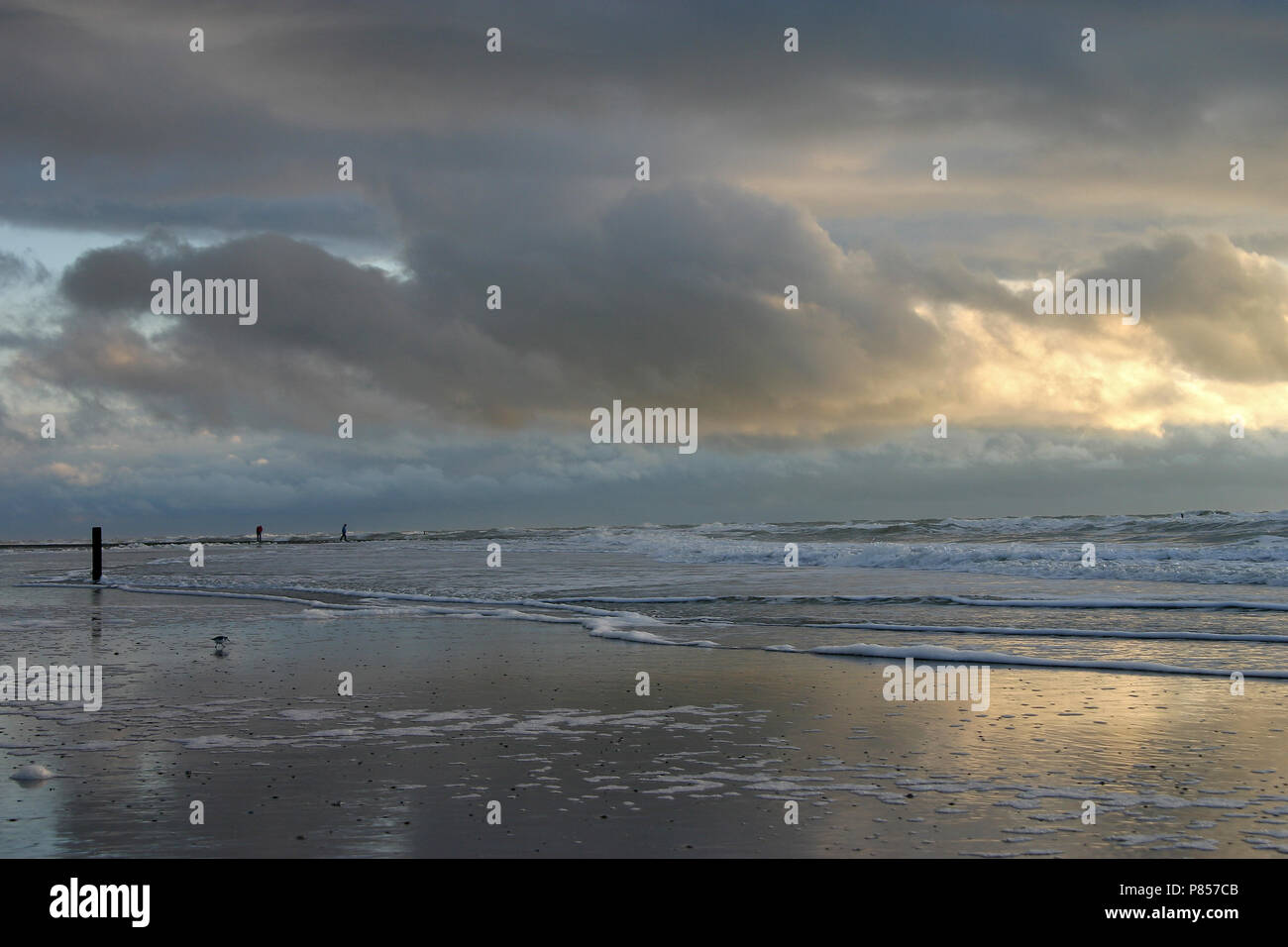 Het strand bij Camperduin; The beach at Camperduin Stock Photo - Alamy