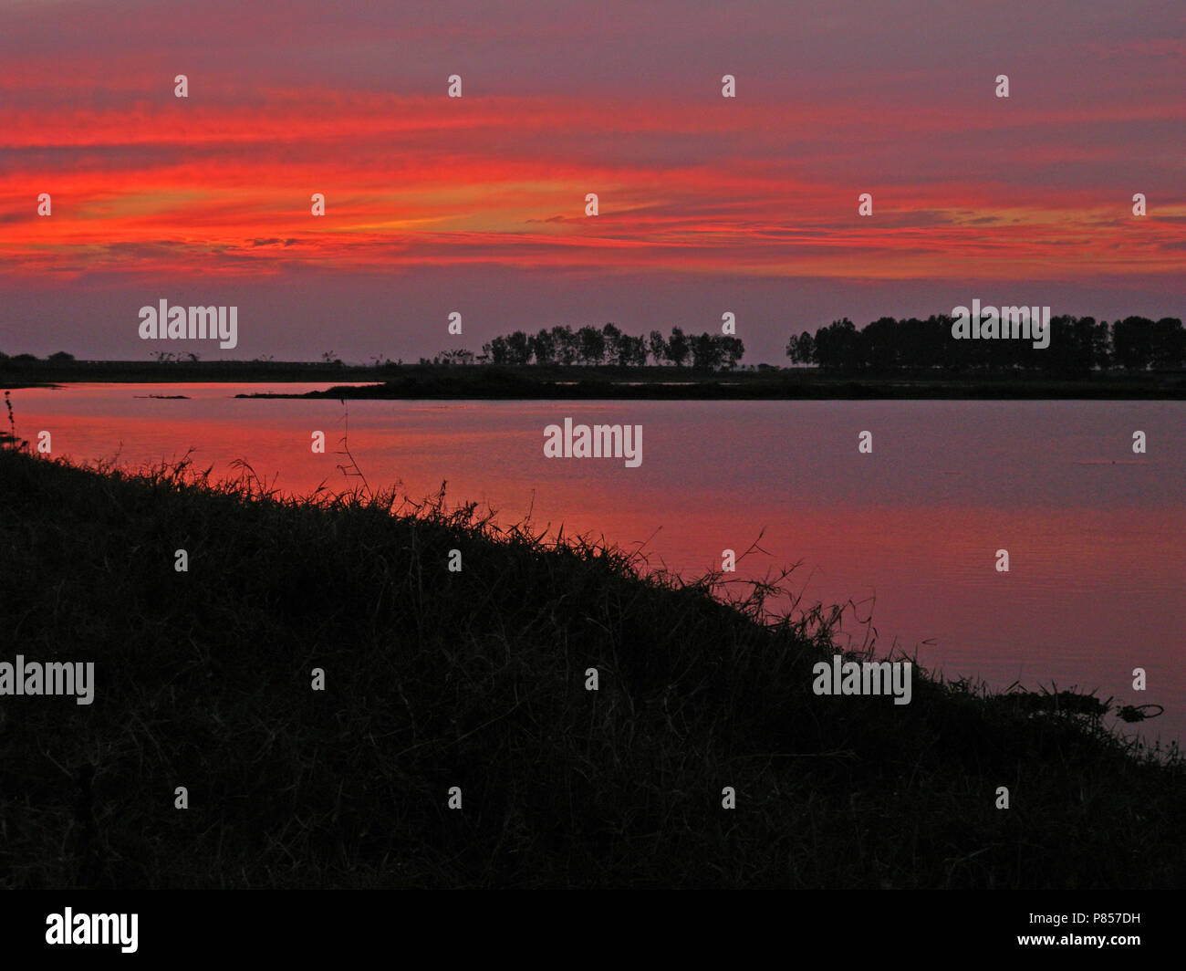 Candaba swamp hi-res stock photography and images - Alamy