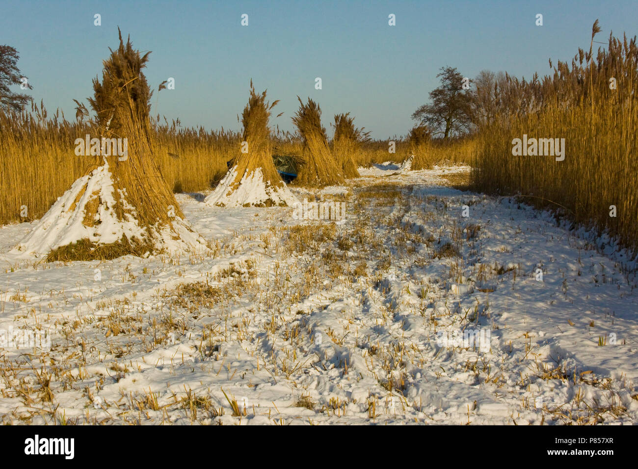 Wieden hi-res stock photography and images - Alamy