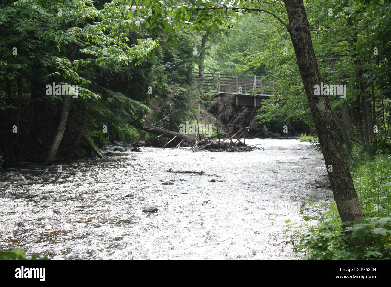 Camping in the U.P. of Michigan Stock Photo - Alamy