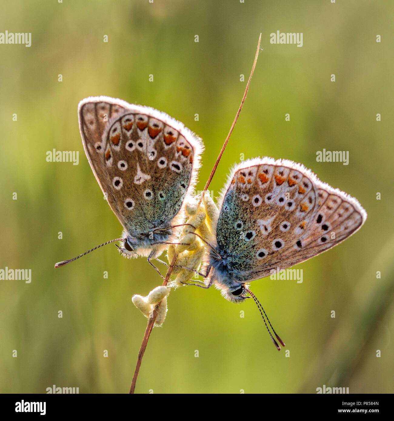 Ex quarry hi-res stock photography and images - Alamy