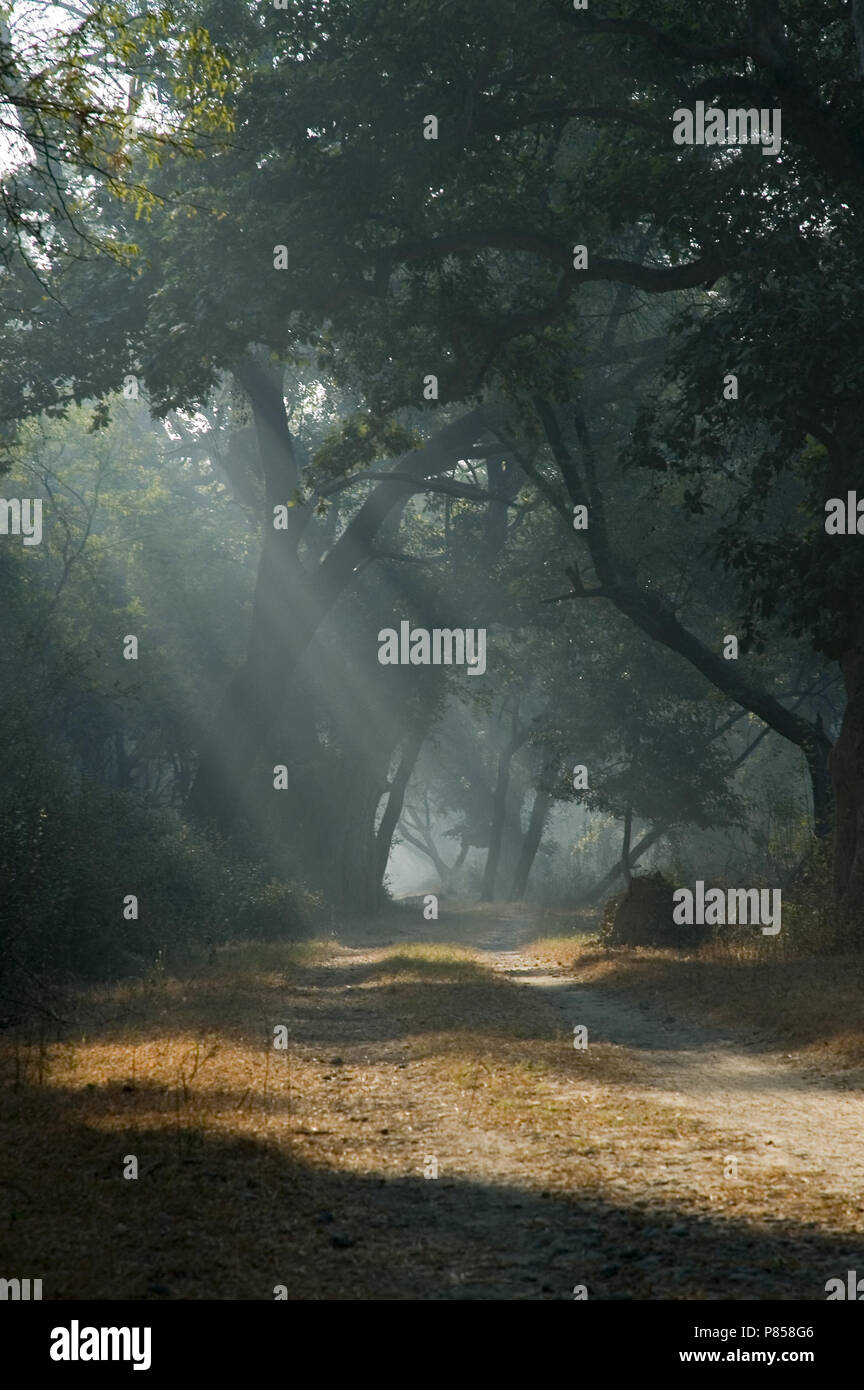 Dirtroad hi-res stock photography and images - Alamy