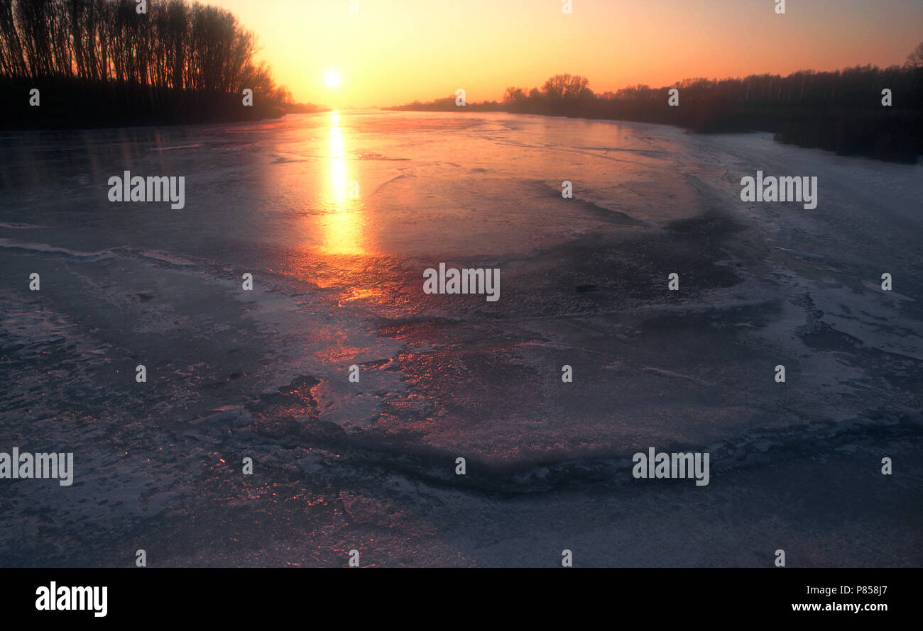 Noorderels hi-res stock photography and images - Alamy