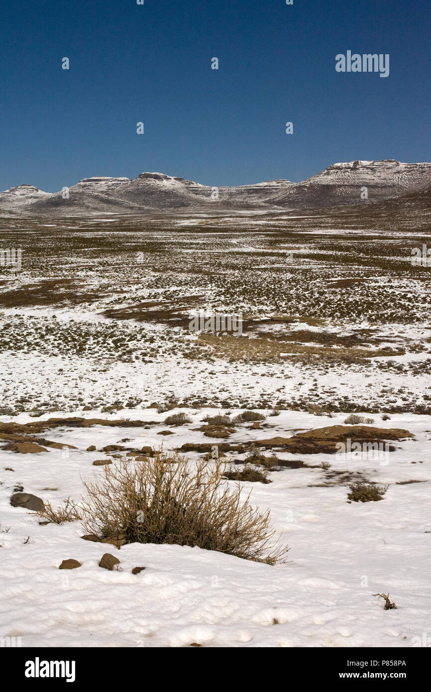Lesotho mountain snow hi-res stock photography and images - Alamy