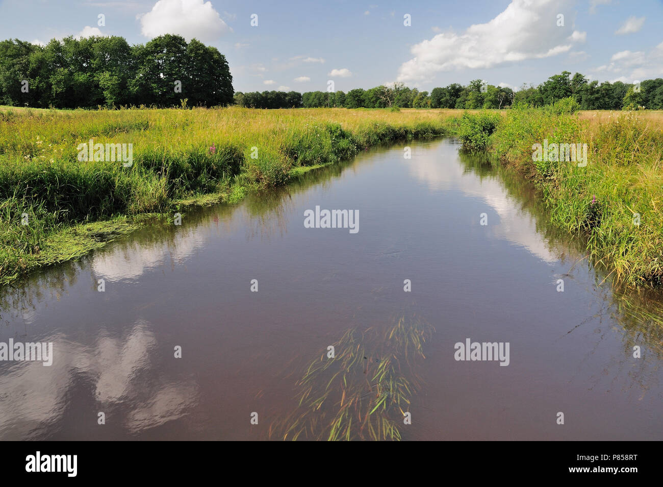 Typical dutch landscape hi-res stock photography and images - Alamy