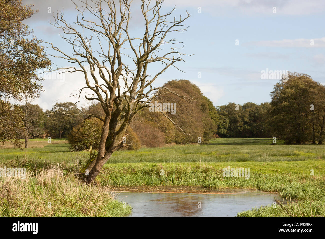 Nationaal park de Drenthse Aa; National Park Drenthse Aa Stock Photo ...