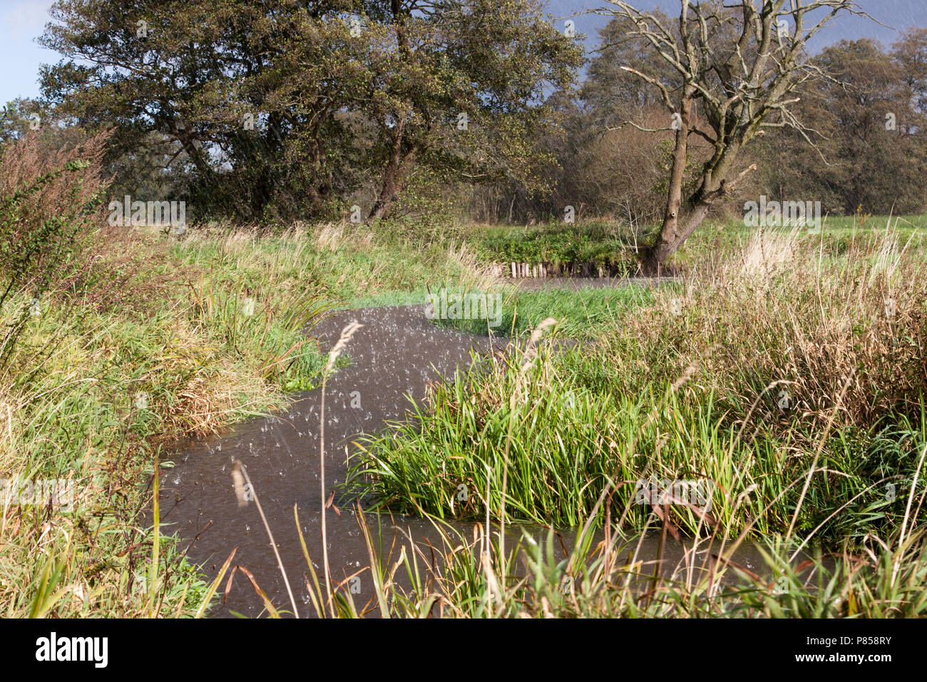 Nationaal park de Drenthse Aa; National Park Drenthse Aa Stock Photo ...