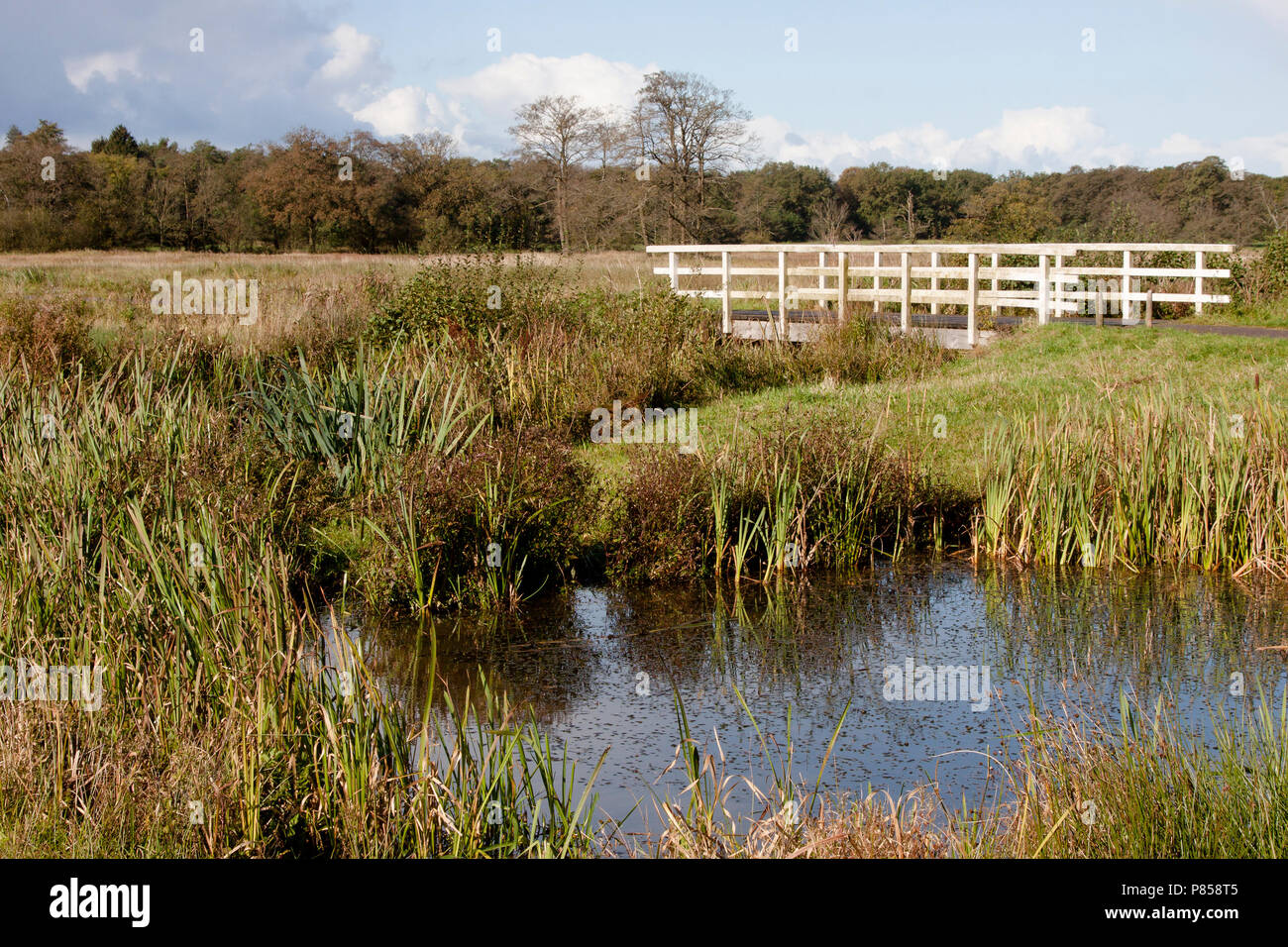 Drenthe netherlands national park hi-res stock photography and images ...