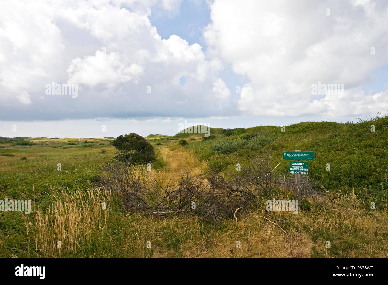 Waddeneiland Texel, Nederland / Nederlands Stock Photo - Alamy