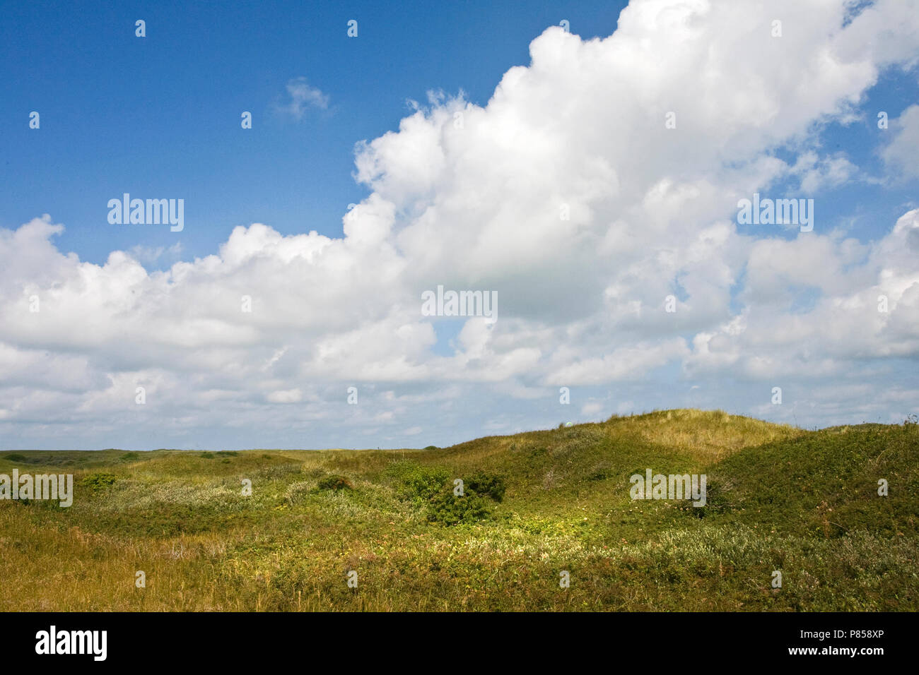 Waddeneiland texel hi-res stock photography and images - Alamy