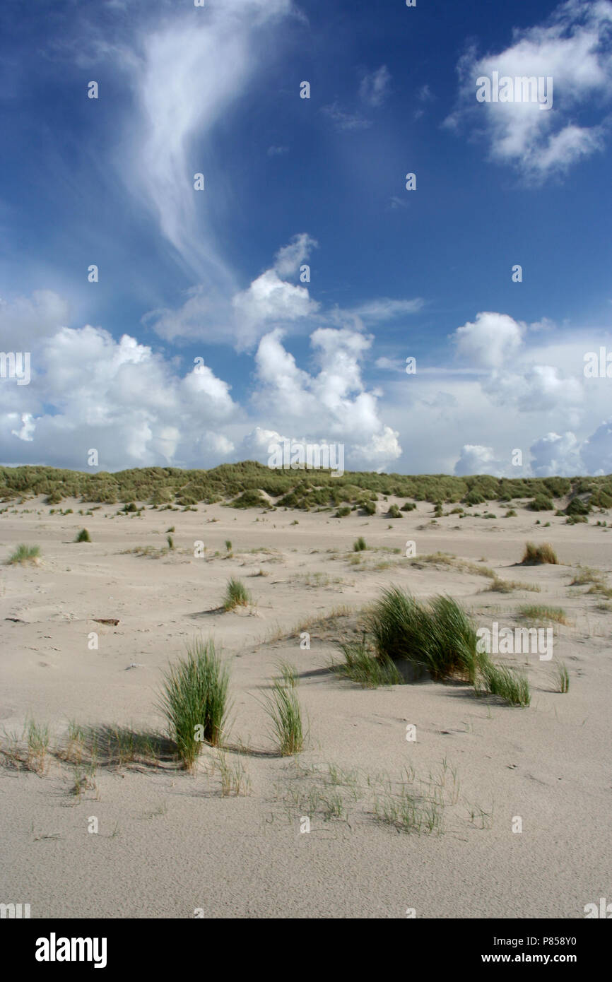 Strand Terschelling, Beach Terschelling Stock Photo - Alamy