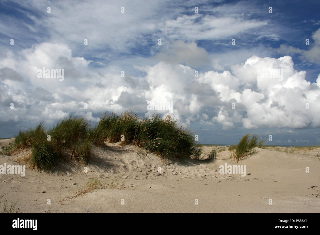 Strand Terschelling, Beach Terschelling Stock Photo - Alamy
