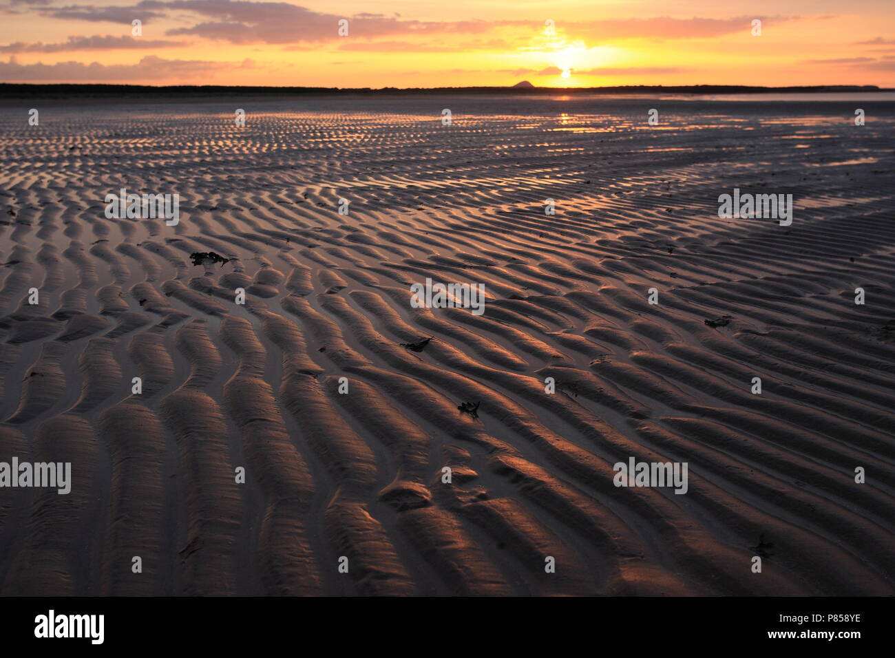 Dunbar beach hi-res stock photography and images - Alamy
