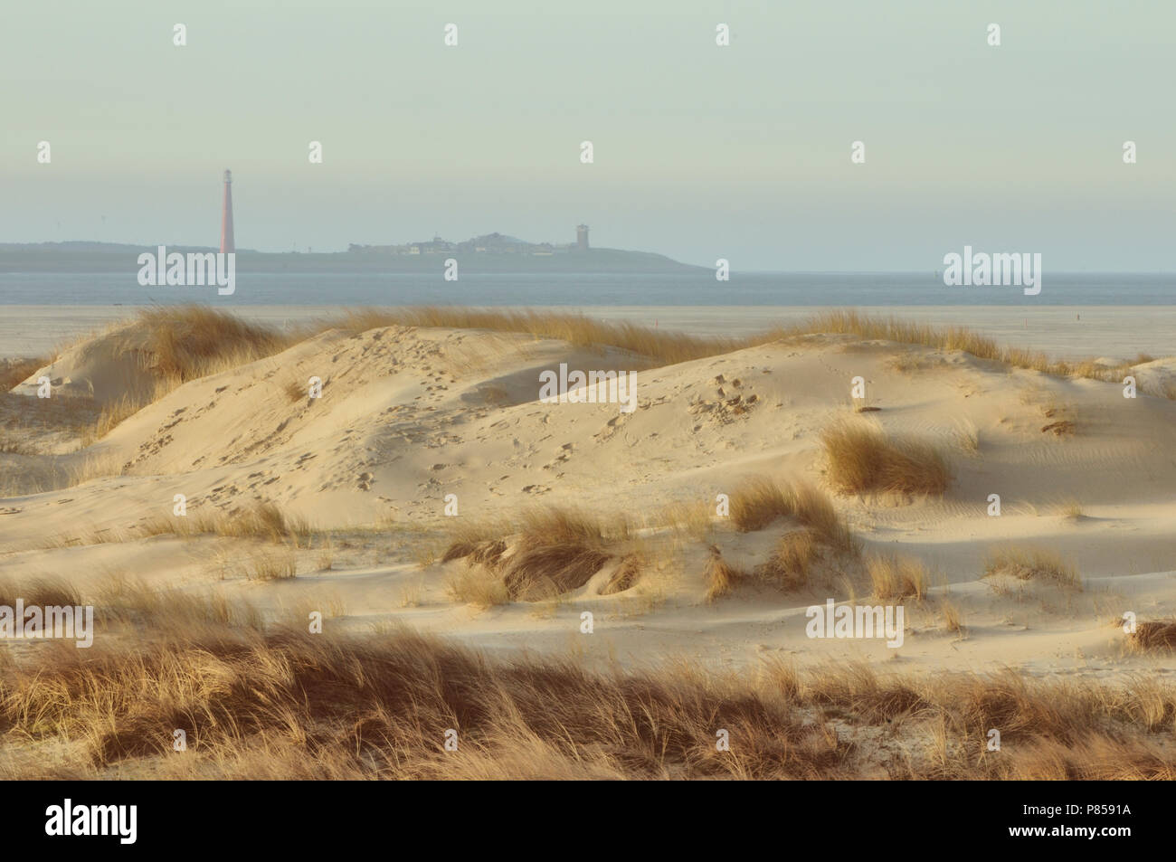 Typical Dutch landscape Stock Photo - Alamy