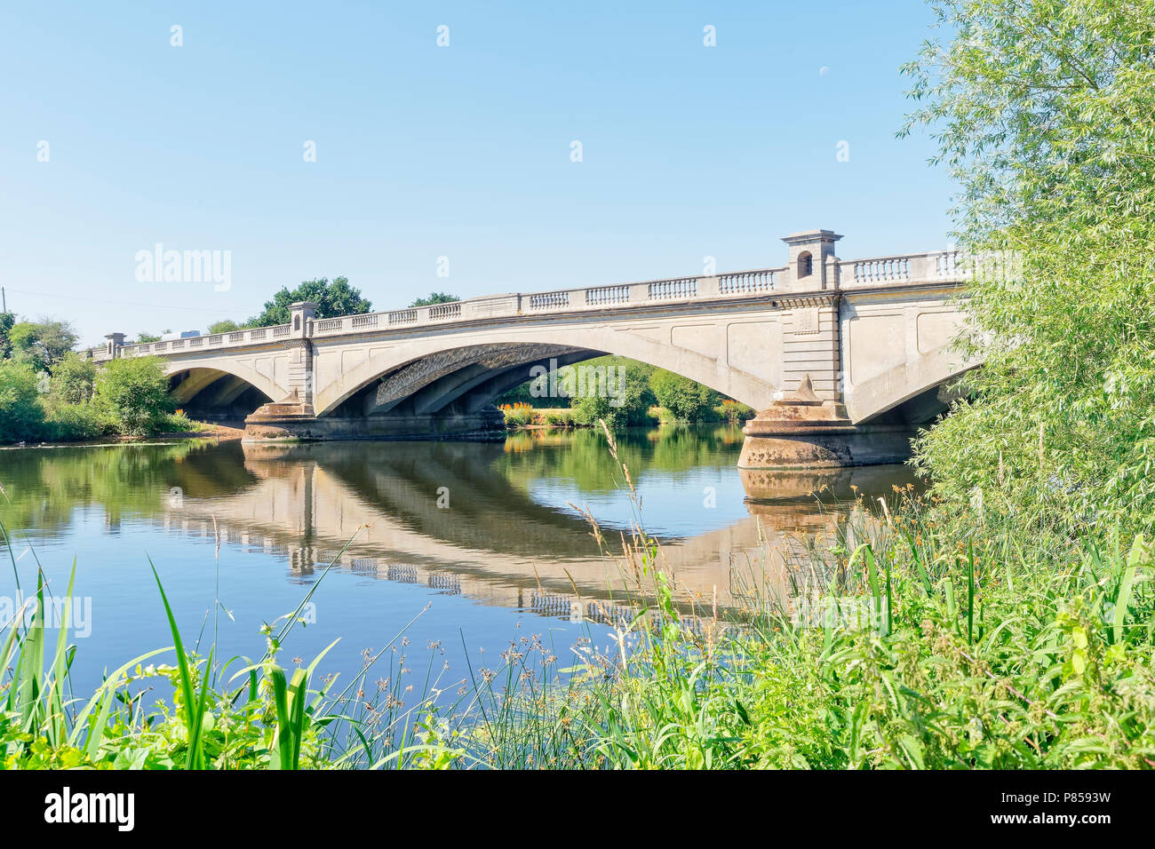 Lush vegitation covers the banks of the River Trent at the side of ...