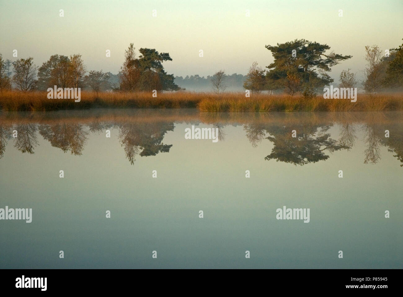 National Park Dwingelderveld Netherlands, Nationaal Park Dwingelderveld ...