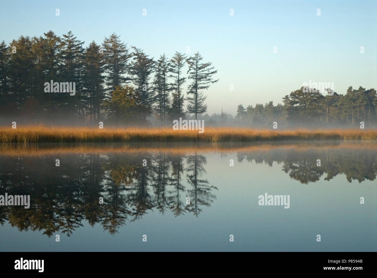 National Park Dwingelderveld Netherlands, Nationaal Park Dwingelderveld ...