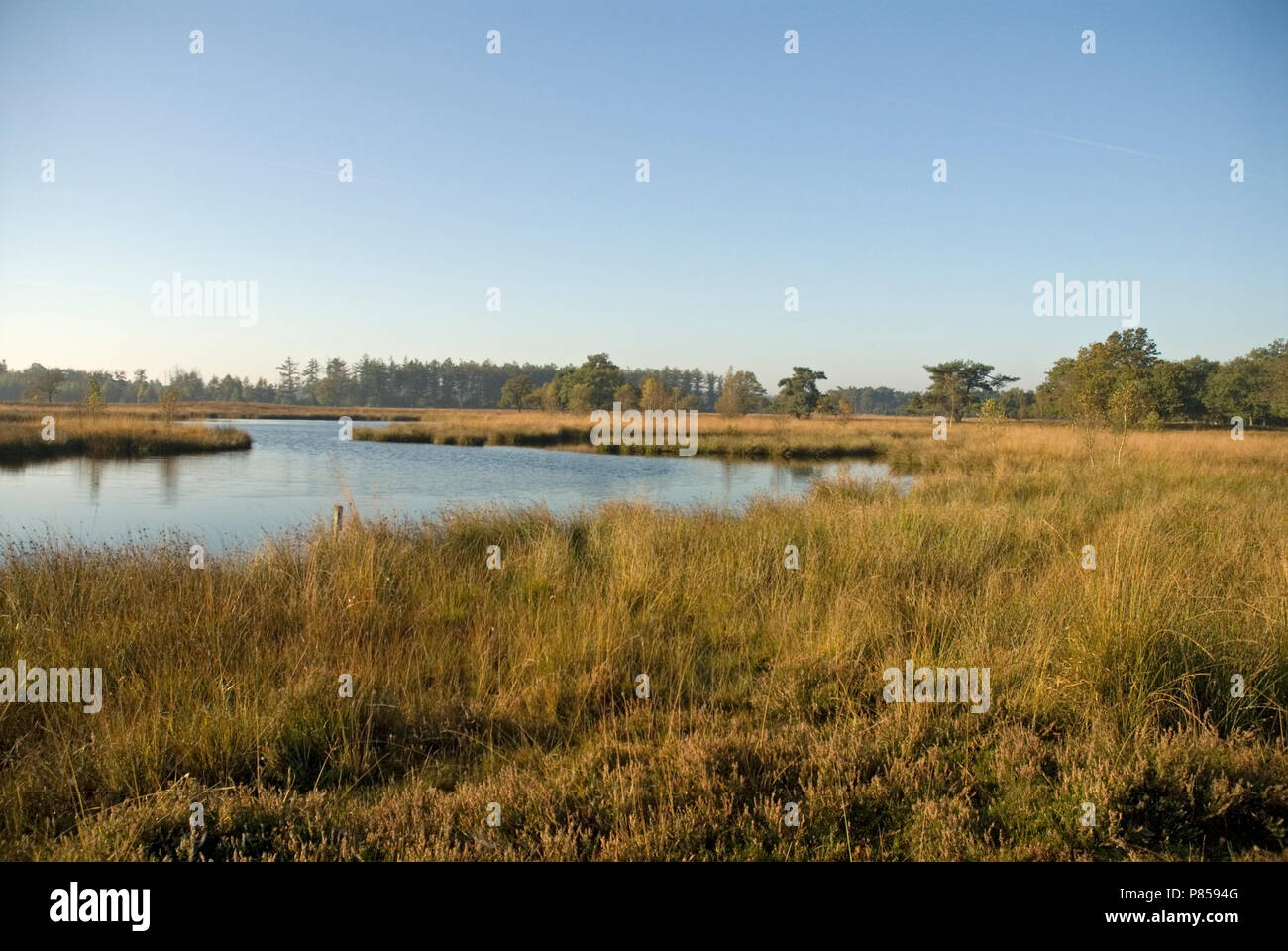 National Park Dwingelderveld Netherlands, Nationaal Park Dwingelderveld ...