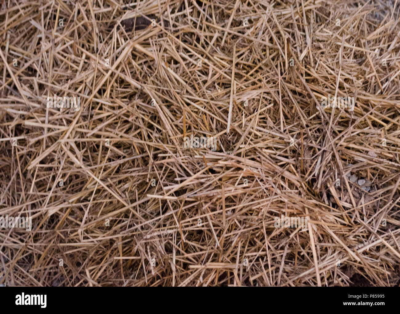 Background straw hi-res stock photography and images - Alamy