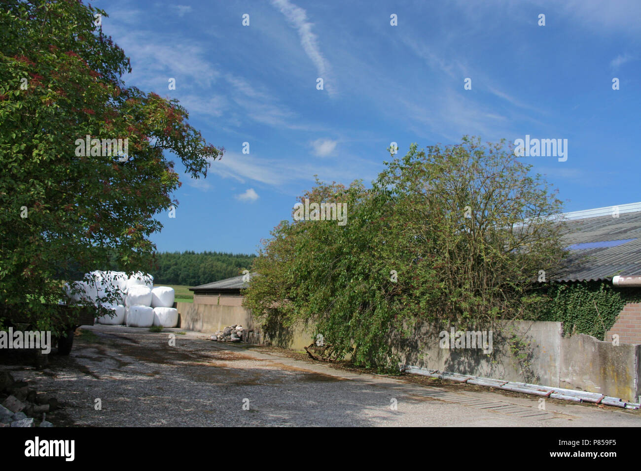 Boerderij met erf, Farm with properties Stock Photo - Alamy