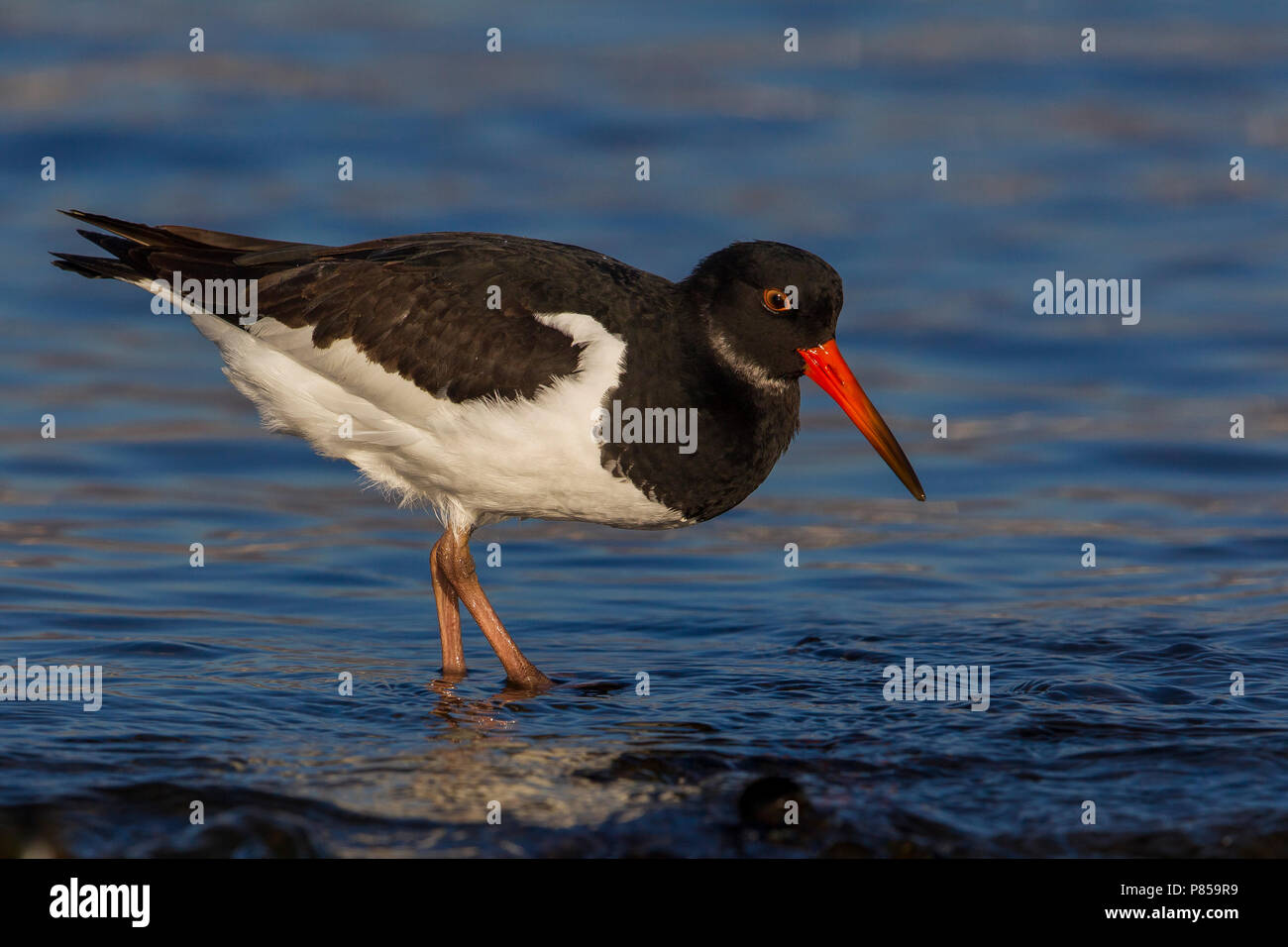 Porto di mare hi-res stock photography and images - Alamy