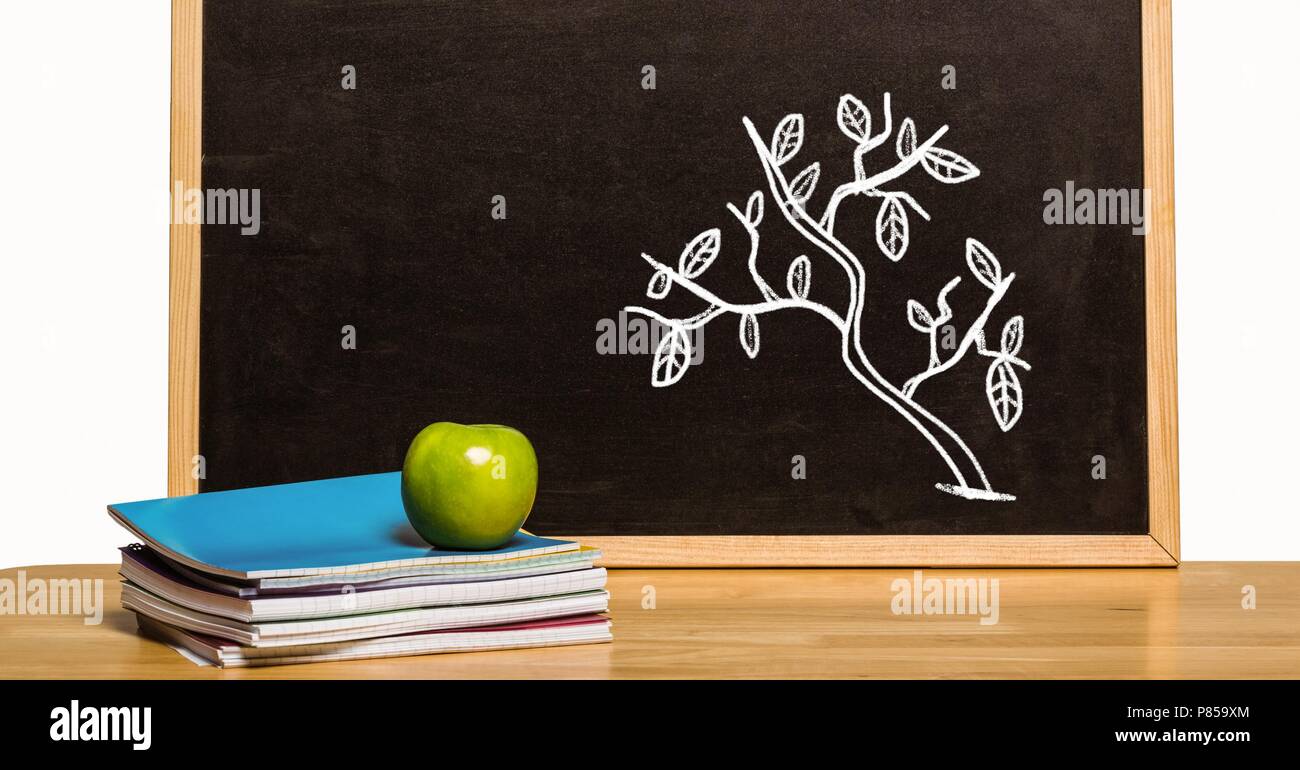 Tree Education drawing on blackboard with apple for school Stock Photo ...