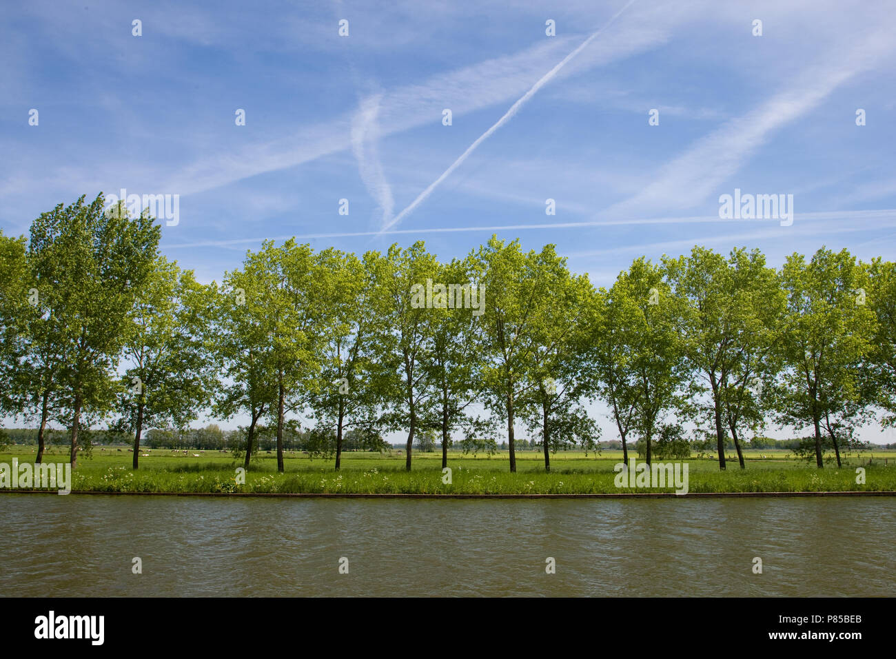 Merwedekanaal hi-res stock photography and images - Alamy