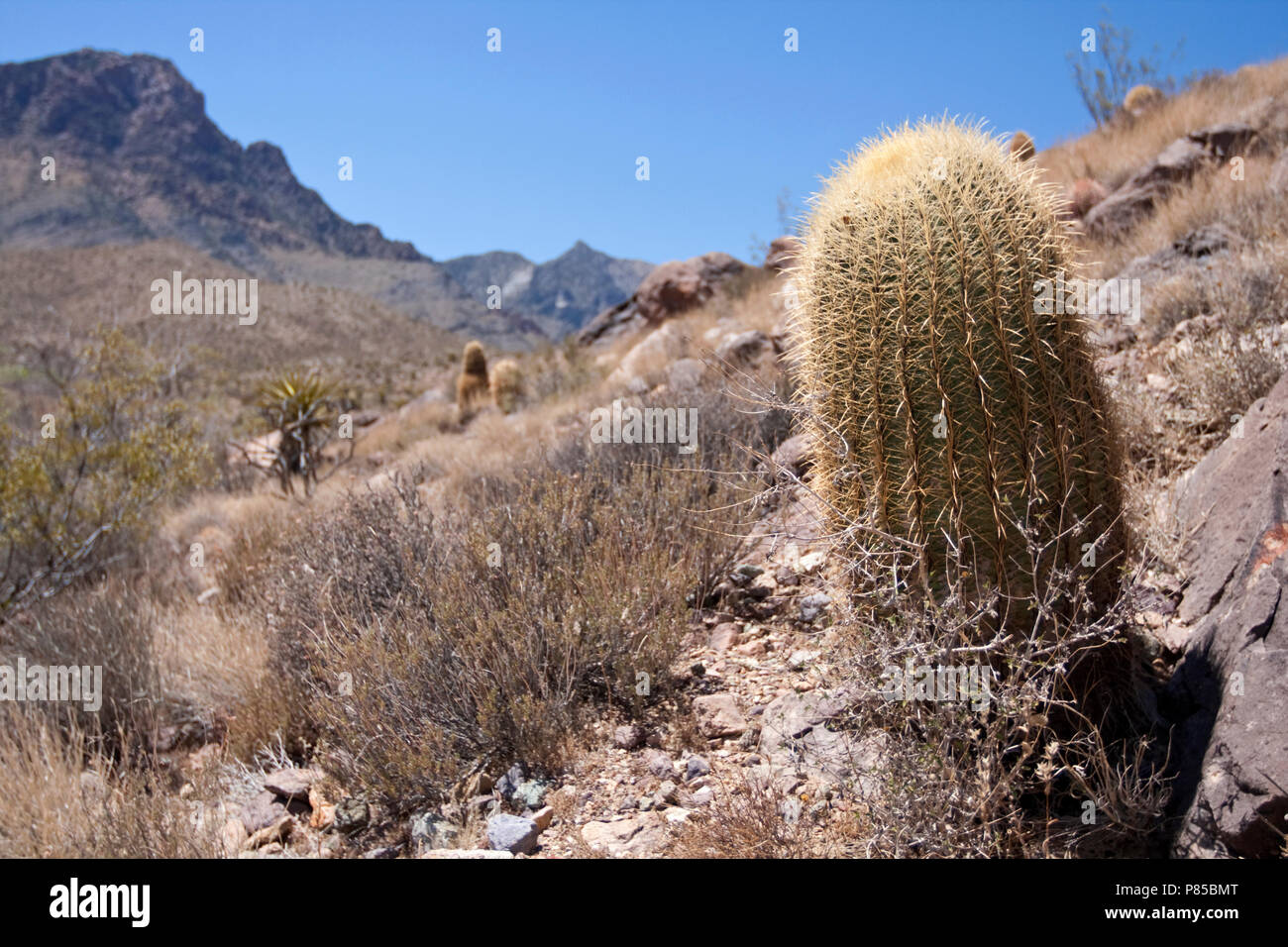 Mojave Woestijn Californie USA, Mojave Desert California USA Stock ...