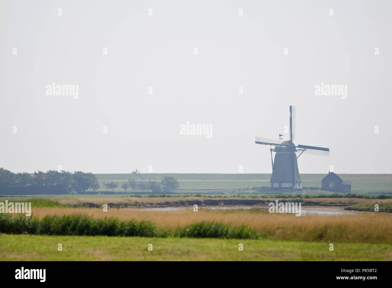 Molen Het Noorden op waddeneiland Texel Nederland, Mill Het Noorden on Texel Netherlands Stock ...